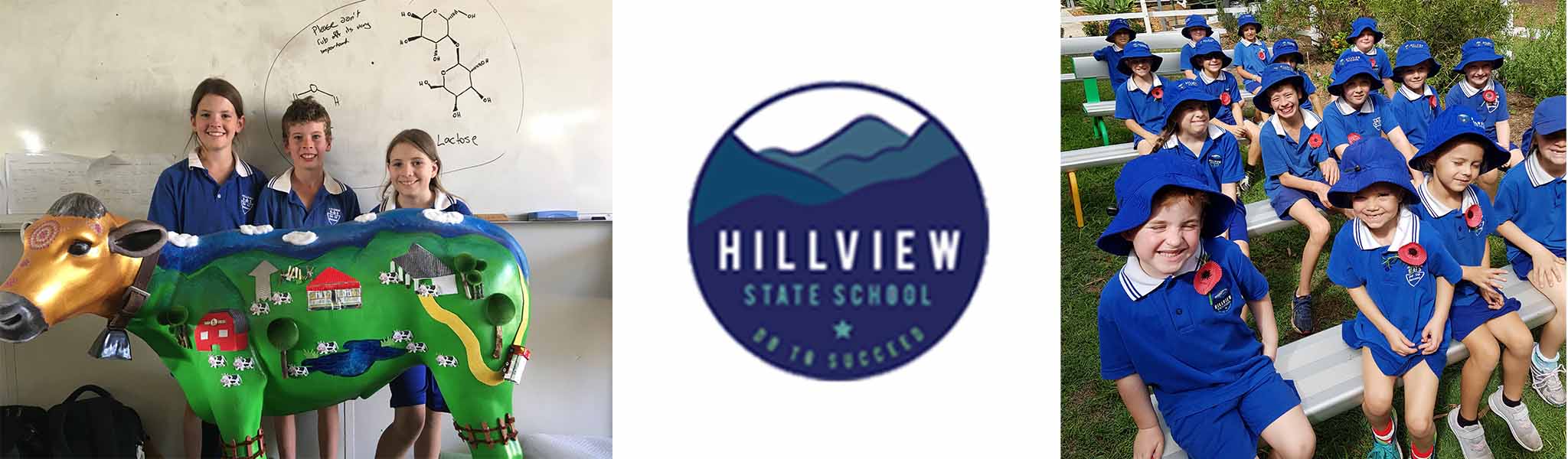 Hillview State School