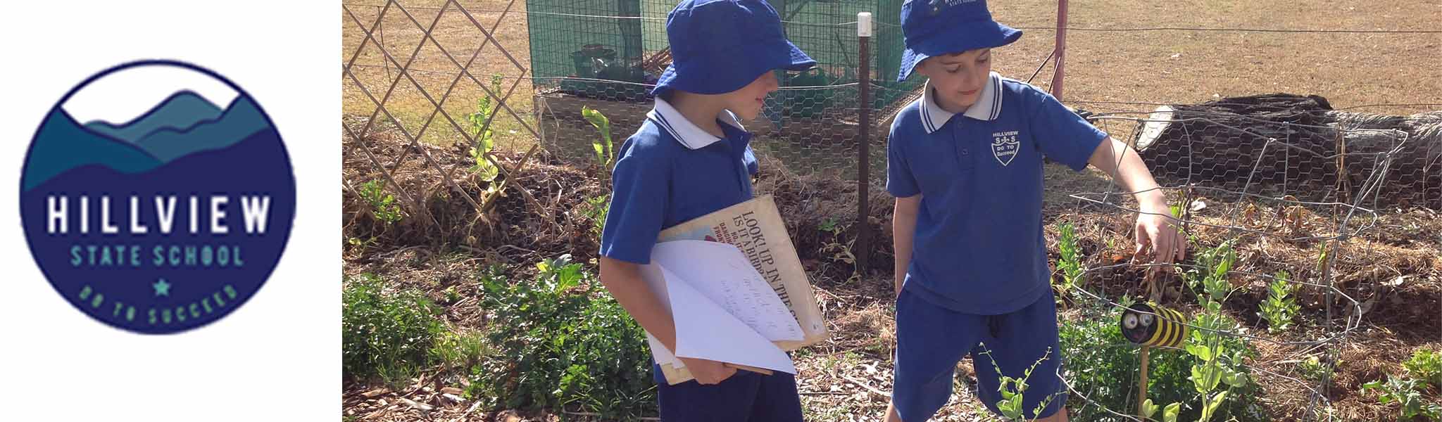 Hillview State School